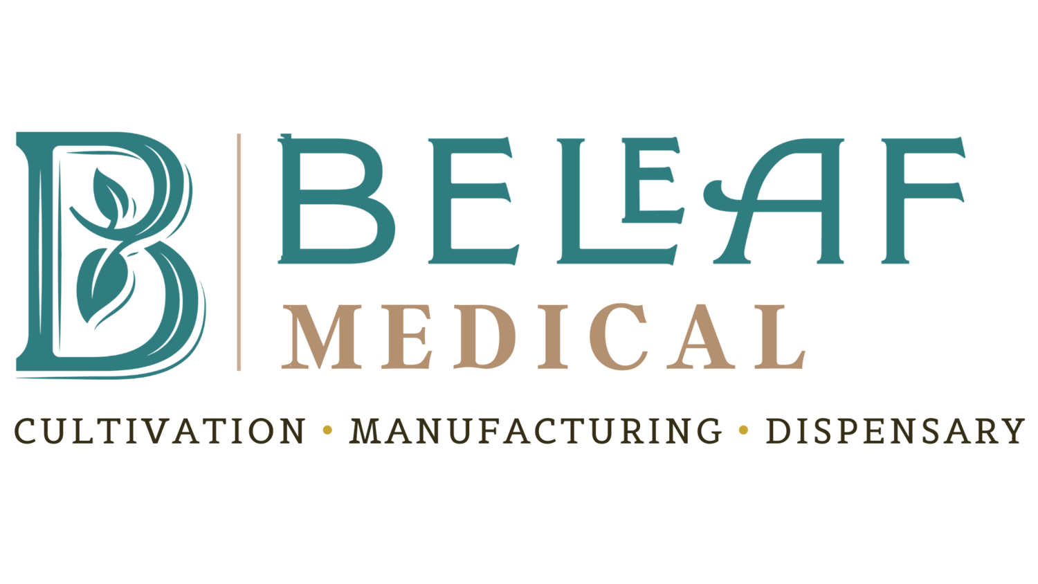 BeLeaf Medical hires Sales Director as growth trajectory continues ...