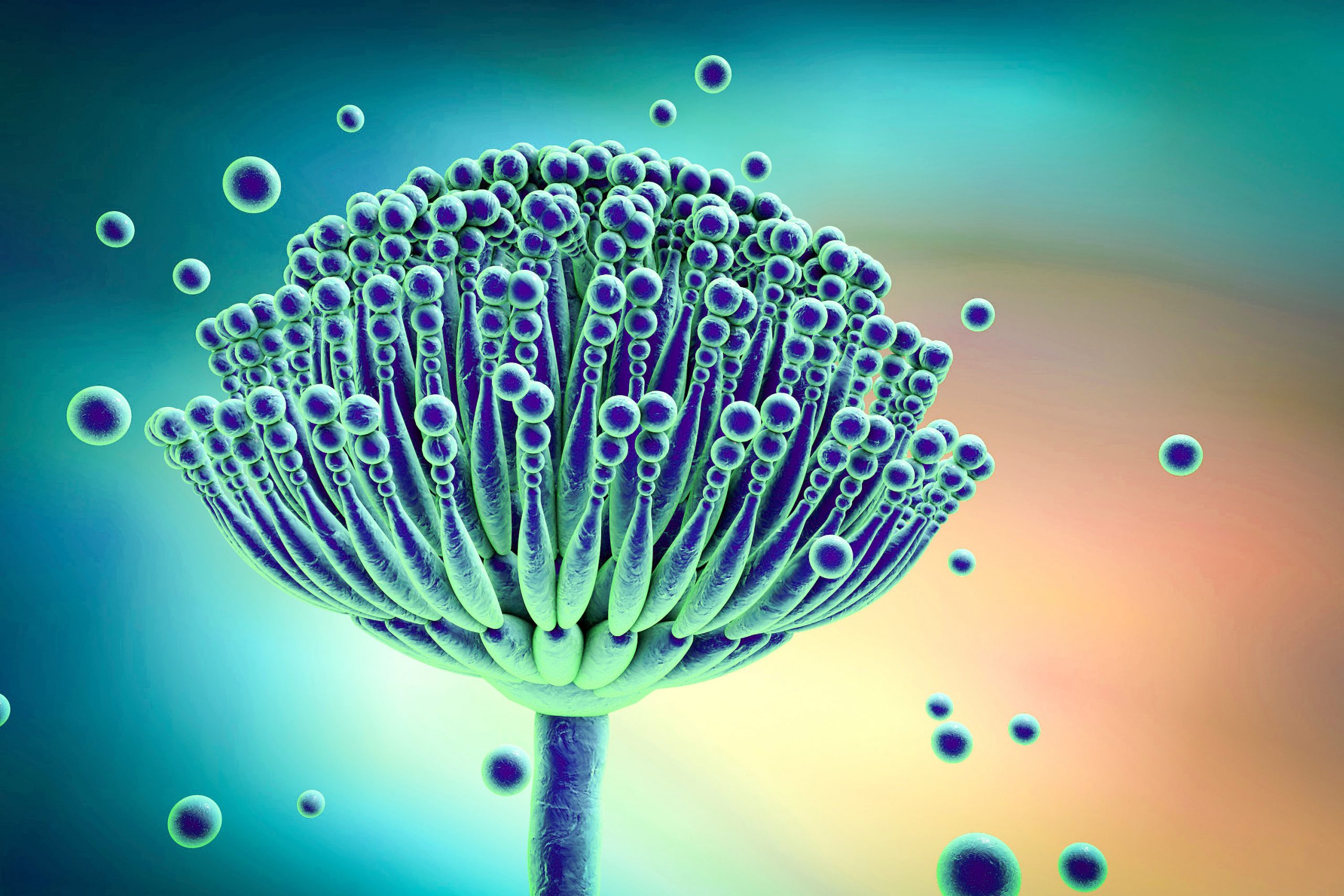 Benjamin Bush of CerroZone discusses emerging technology effectively ...