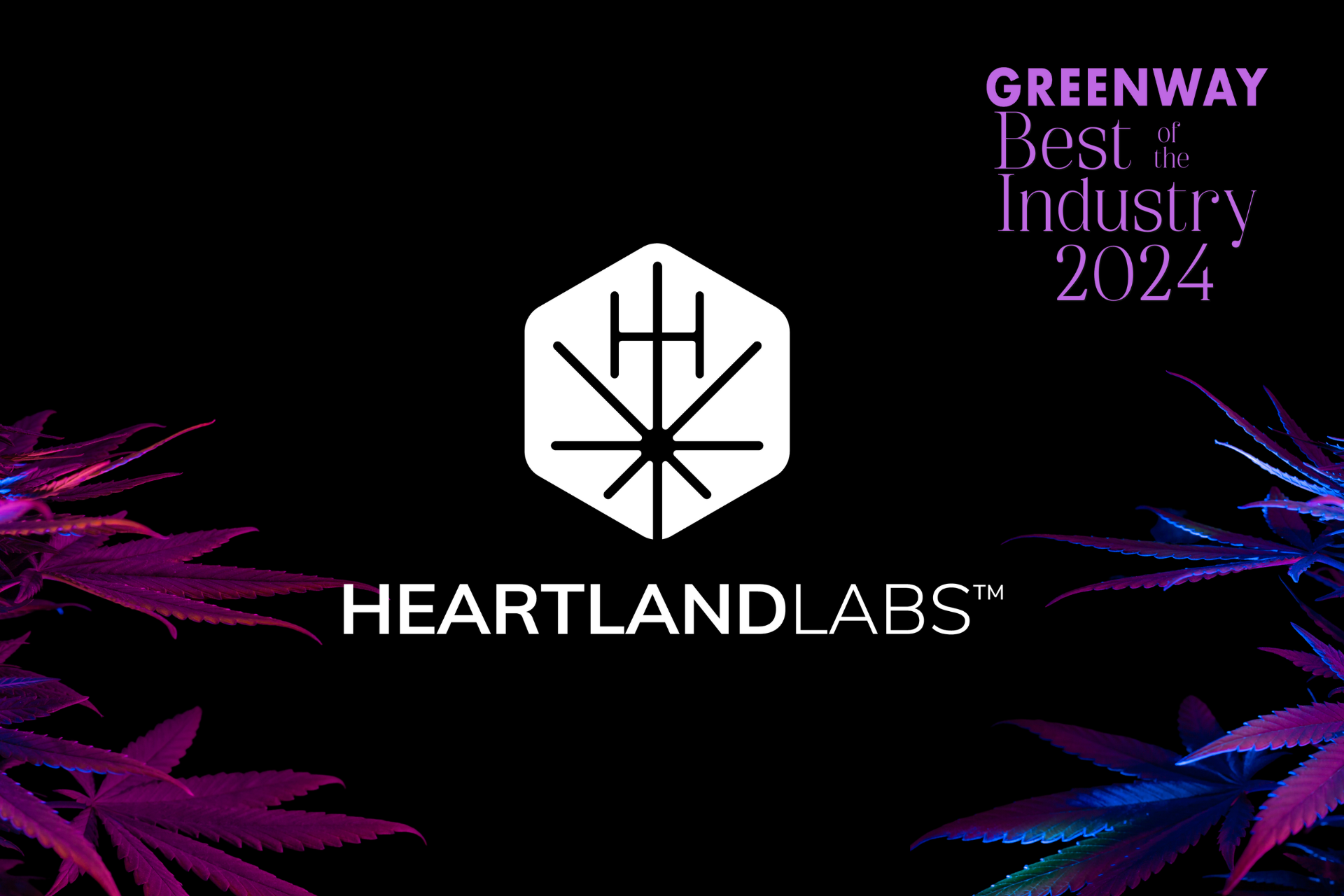 Heartland Labs brings home multiple awards for medical focused ...