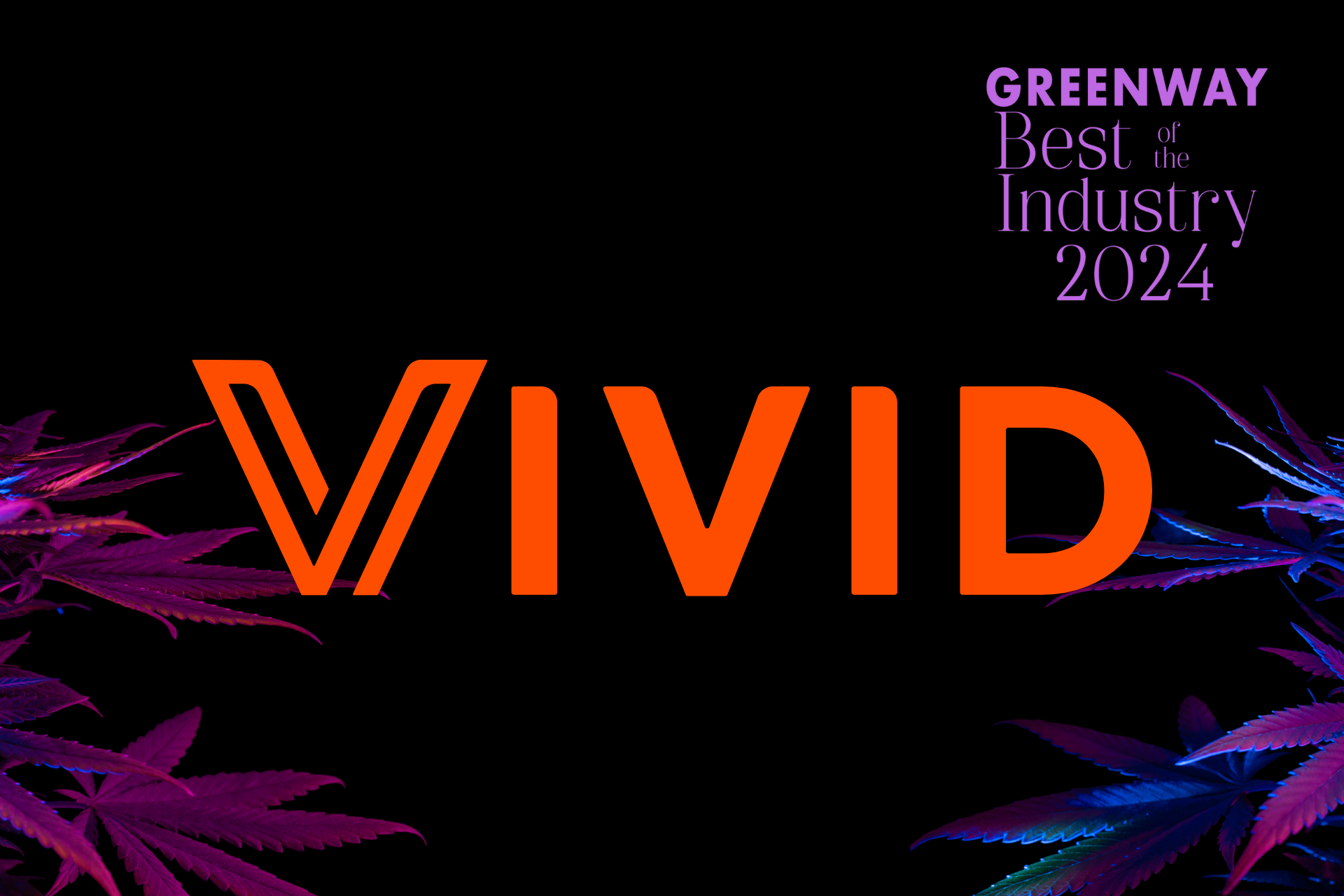 Vivid brings home multiple awards as one of the Best of the Industry ...