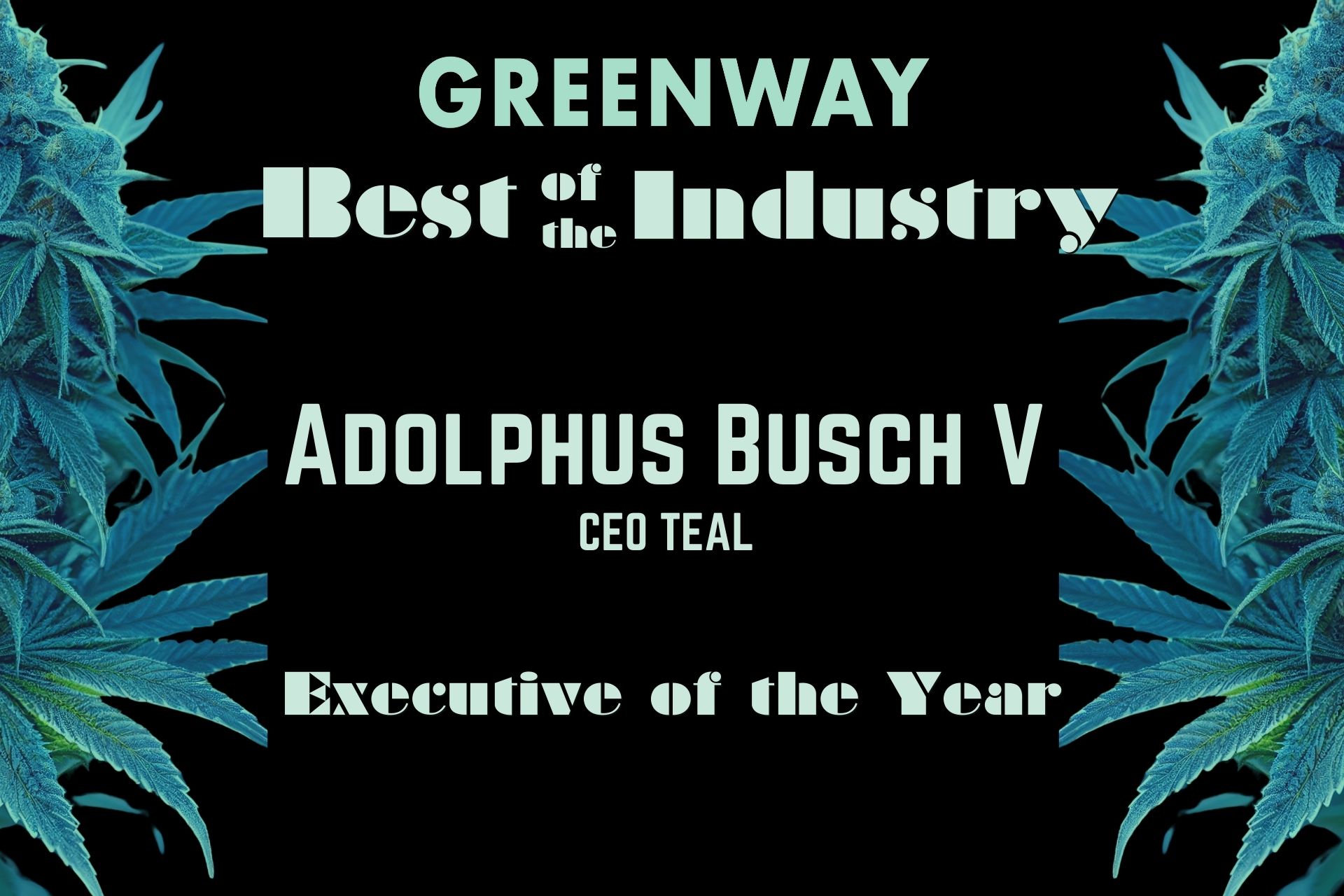 Adolphus Busch V named Executive of the Year — Greenway Magazine