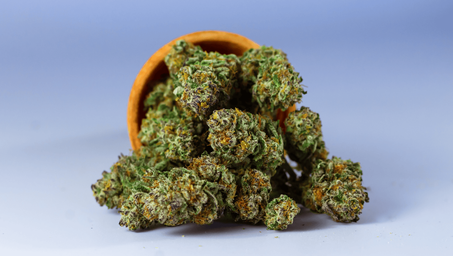 Marijuana industry leaders respond to federal marijuana rescheduling ...